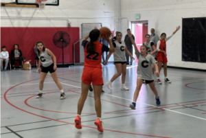 Home Principal - Garden State Basketball